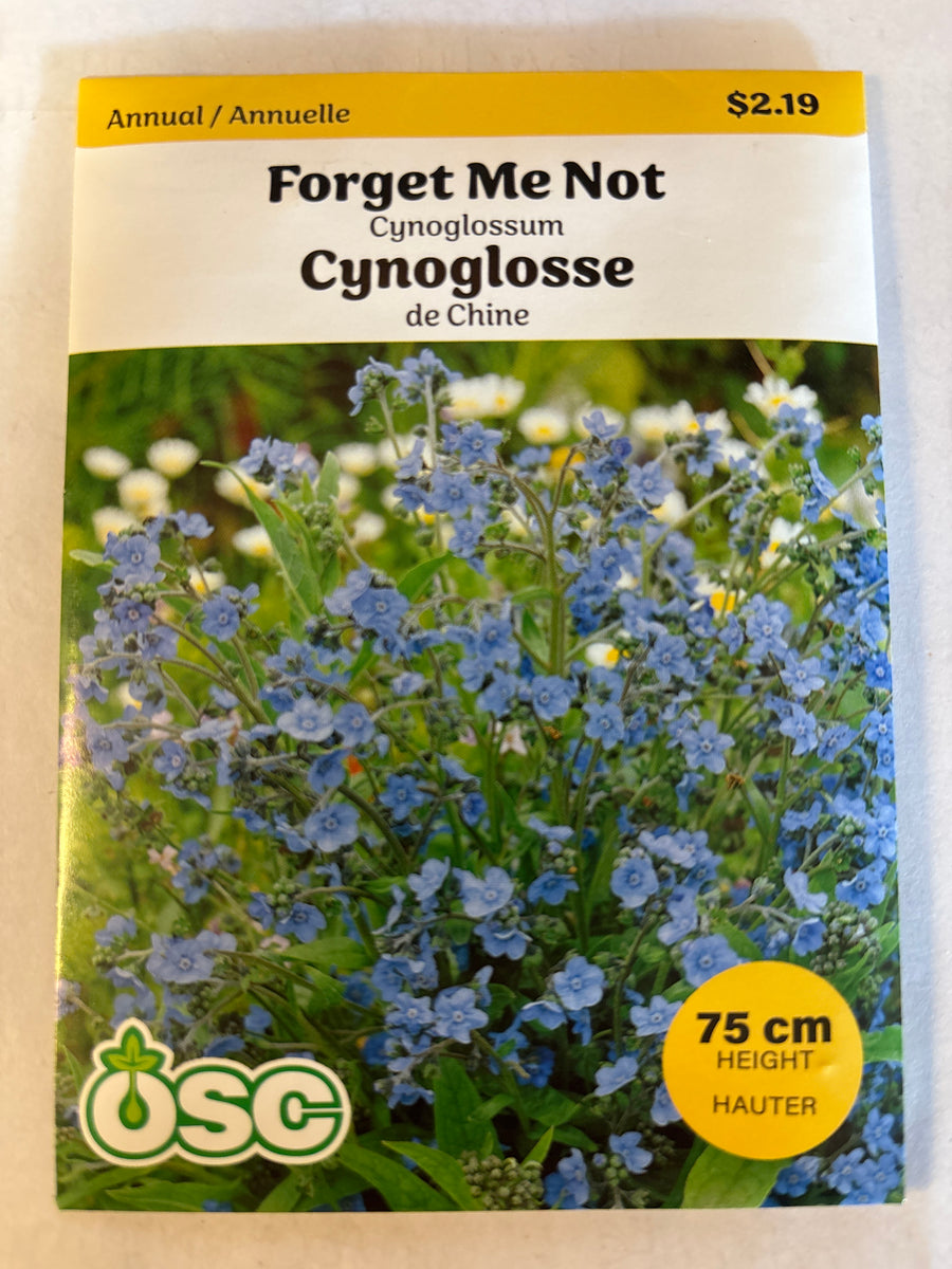 Forget Me Not Seed Packets - Cynoglossum – Laporte's Nursery ...