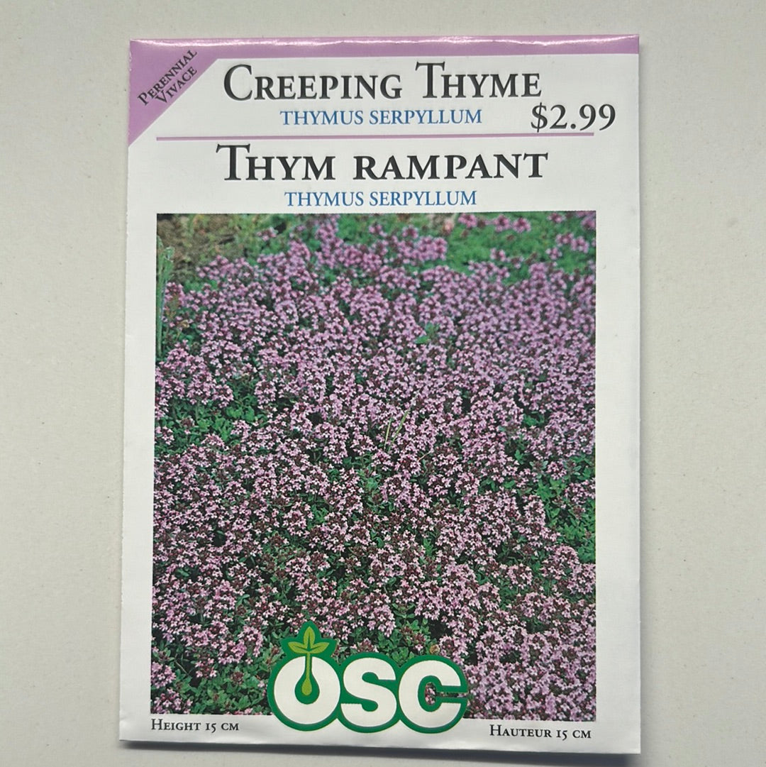 Creeping Thyme Seed Packets - Thymus Serpyllum – Laporte's Nursery ...