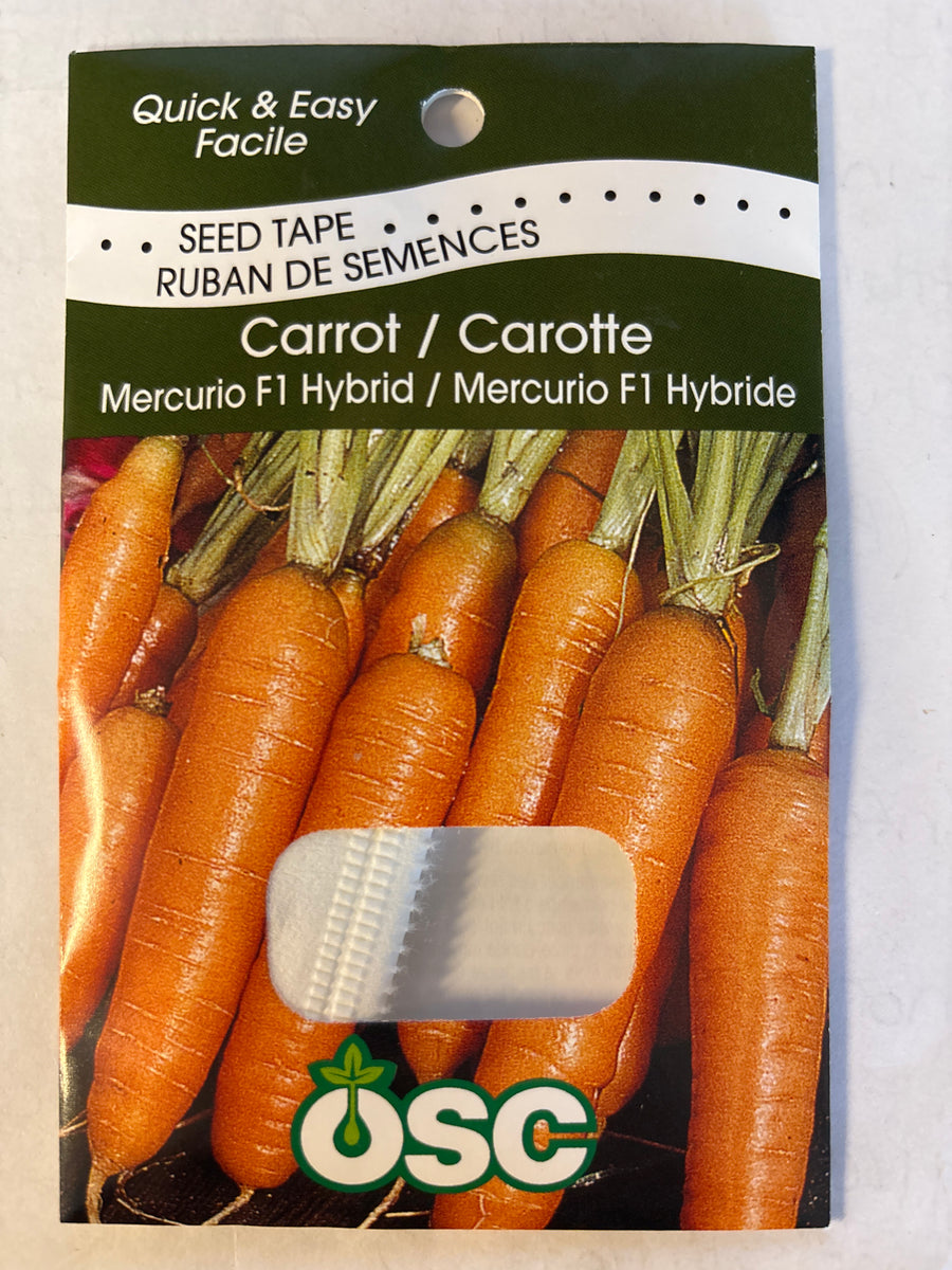 Carrot Seed Tape - Mercurio F1 Hybrid – Laporte's Nursery & Greenhouses ...