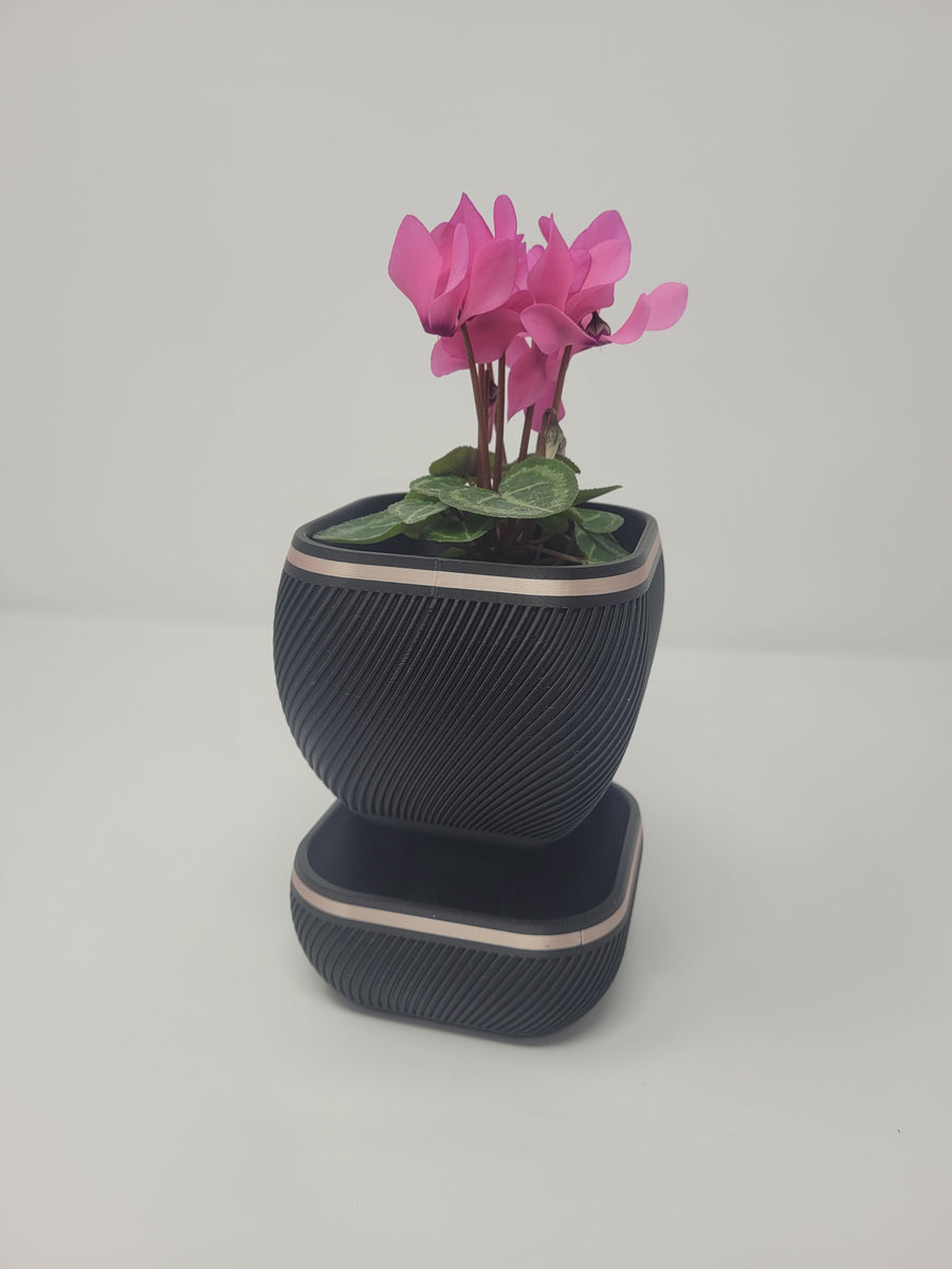 3D Printed Self-Watering Plant Pot 3.5" Square – Laporte's Nursery ...