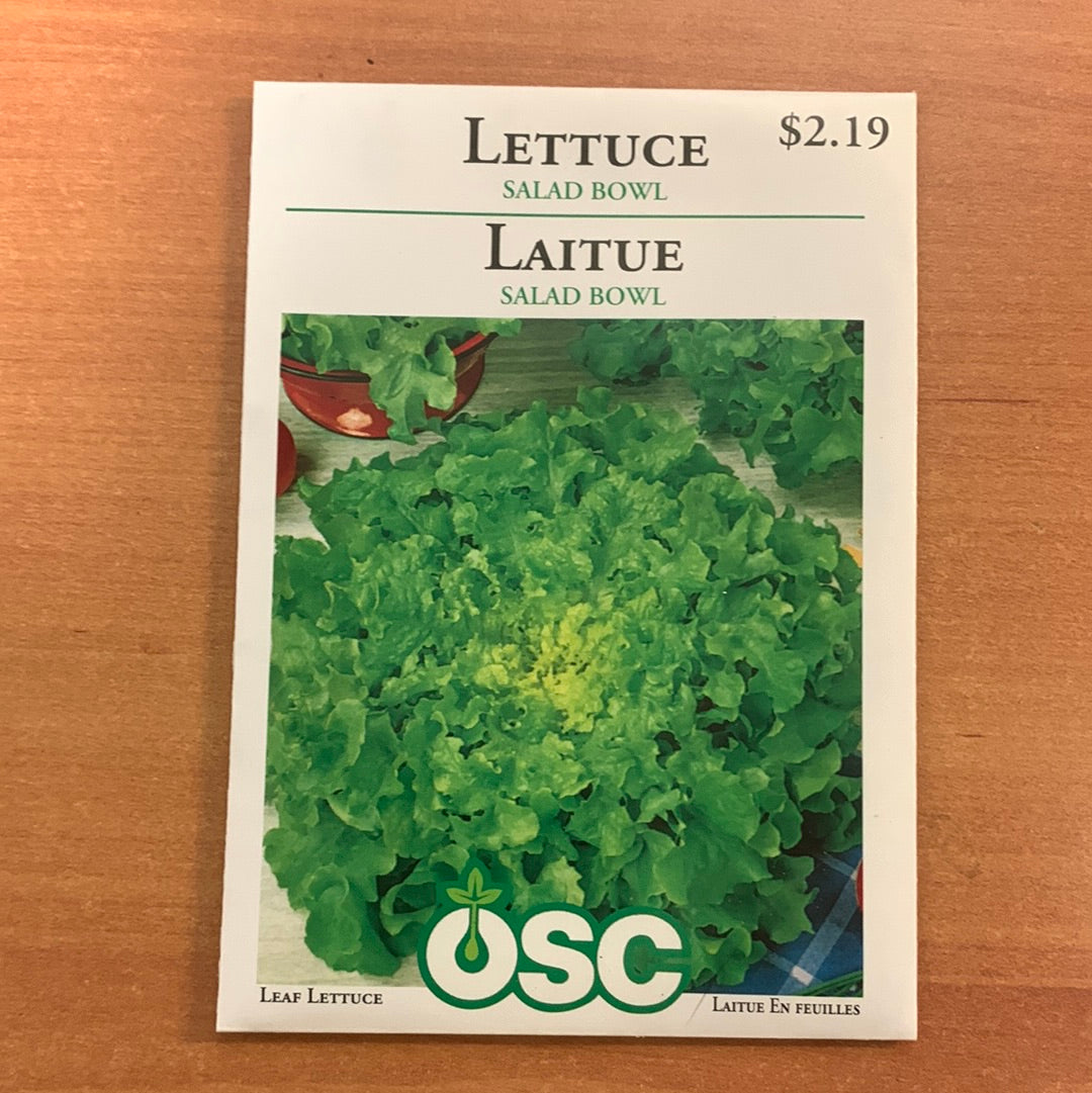 Lettuce Seed Packets - Salad Bowl – Laporte's Nursery & Greenhouses Inc.
