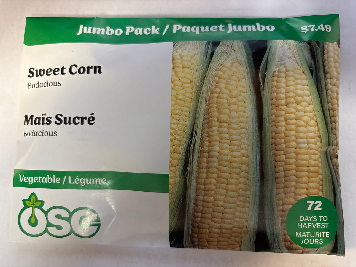 Sweet Corn Seed Packets - Bodacious – Laporte's Nursery & Greenhouses Inc.