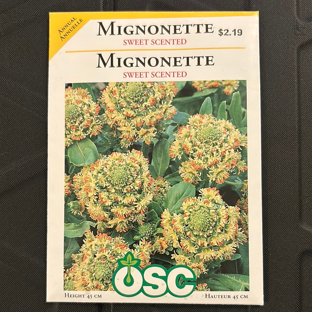 Mignonette Seed Packets - Sweet Scented – Laporte's Nursery ...