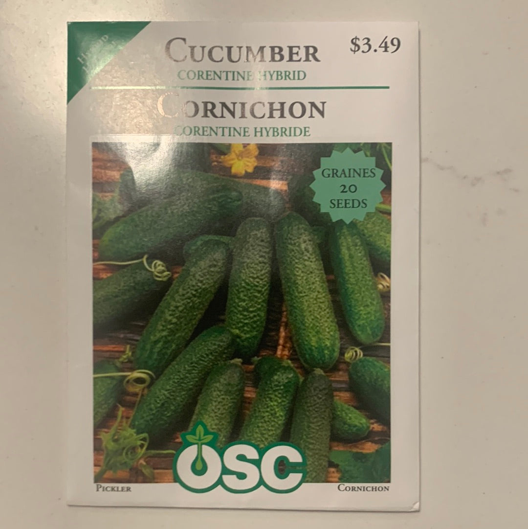 Cucumber Seed Packets - Corentine Hybrid – Laporte's Nursery ...