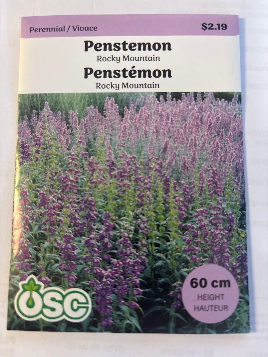 Penstemon Seed Packets - Rocky Mountain – Laporte's Nursery ...