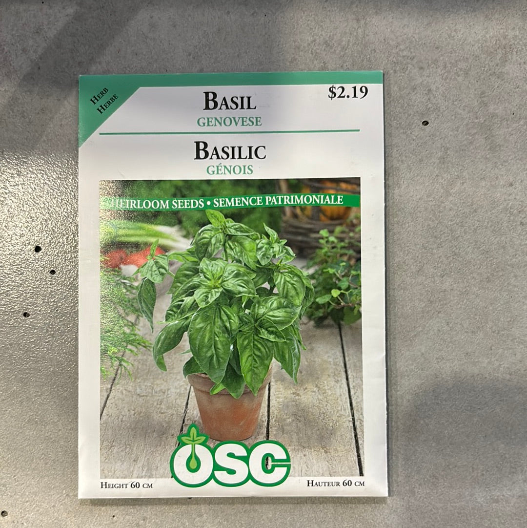 Basil Seed Packets - Genovese – Laporte's Nursery & Greenhouses Inc.