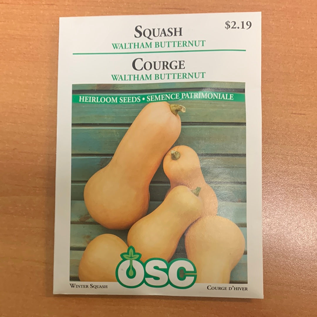 Squash Seed Packets - Waltham Butternut – Laporte's Nursery ...