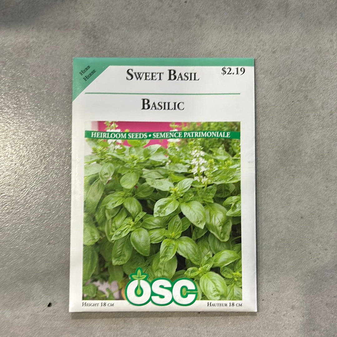 Basil Sweet Seed Packets – Laporte's Nursery & Greenhouses Inc.
