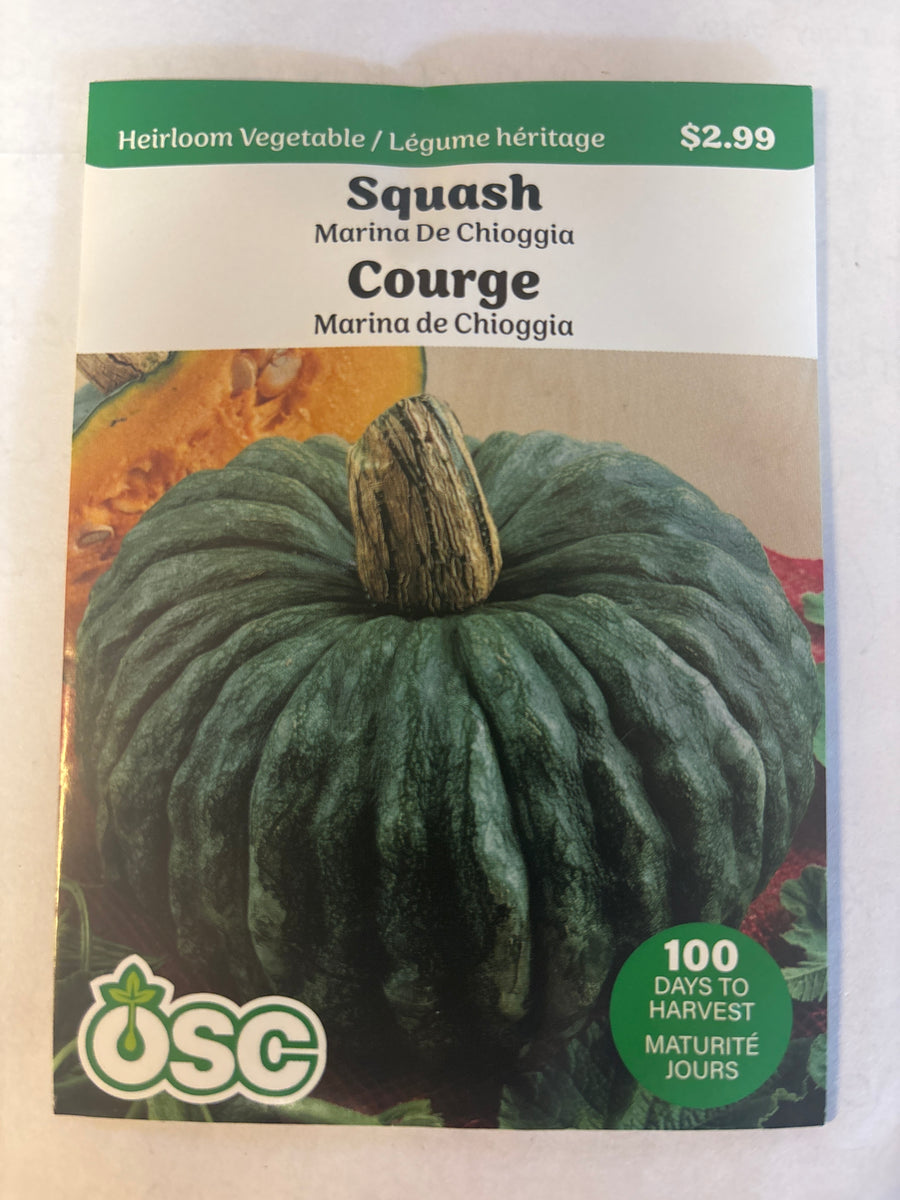 Squash Seed Packets - Marina De Chioggia – Laporte's Nursery ...