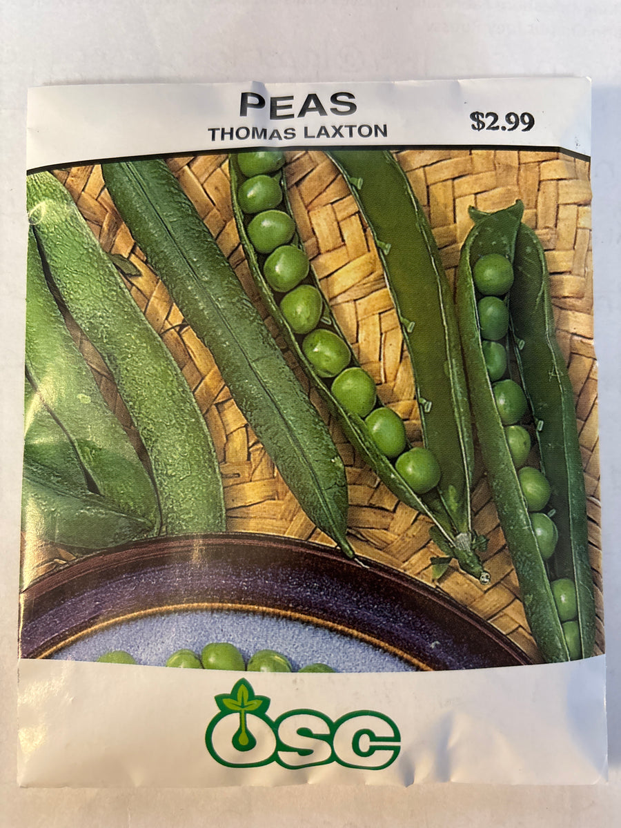 Peas Seed Packets - Thomas Laxton – Laporte's Nursery & Greenhouses Inc.