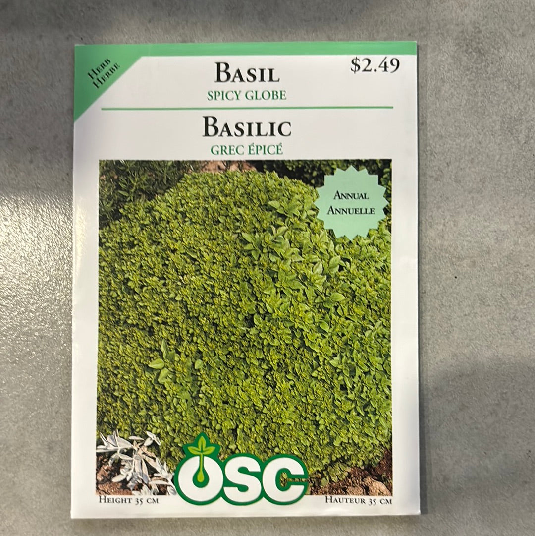 Basil Seed Packets Spicy Globe – Laporte's Nursery & Greenhouses Inc.