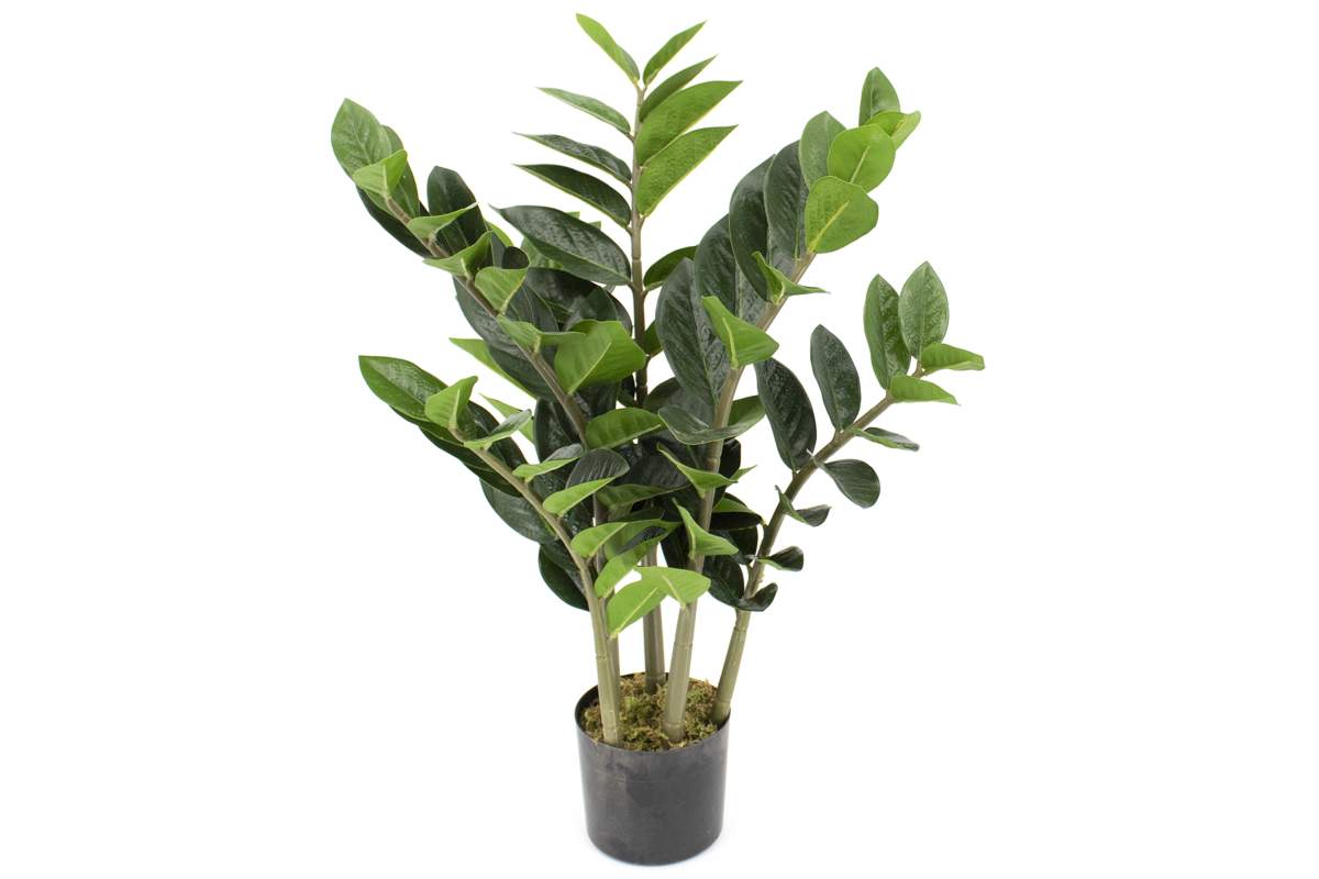 Artificial ZZ Plant (Tree Form) - 26" – Laporte's Nursery & Greenhouses ...