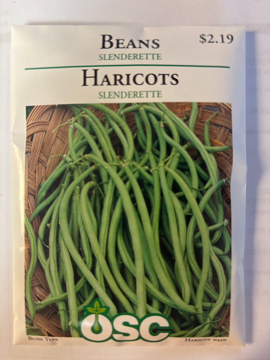 Beans Seed Packets - Slenderette – Laporte's Nursery & Greenhouses Inc.