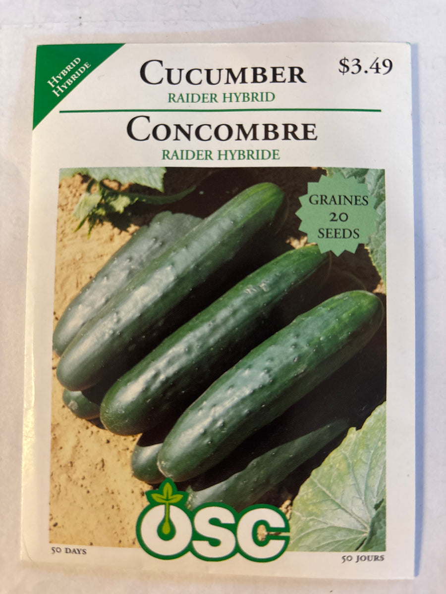 Cucumber Seed Packets - Raider Hybrid – Laporte's Nursery & Greenhouses ...