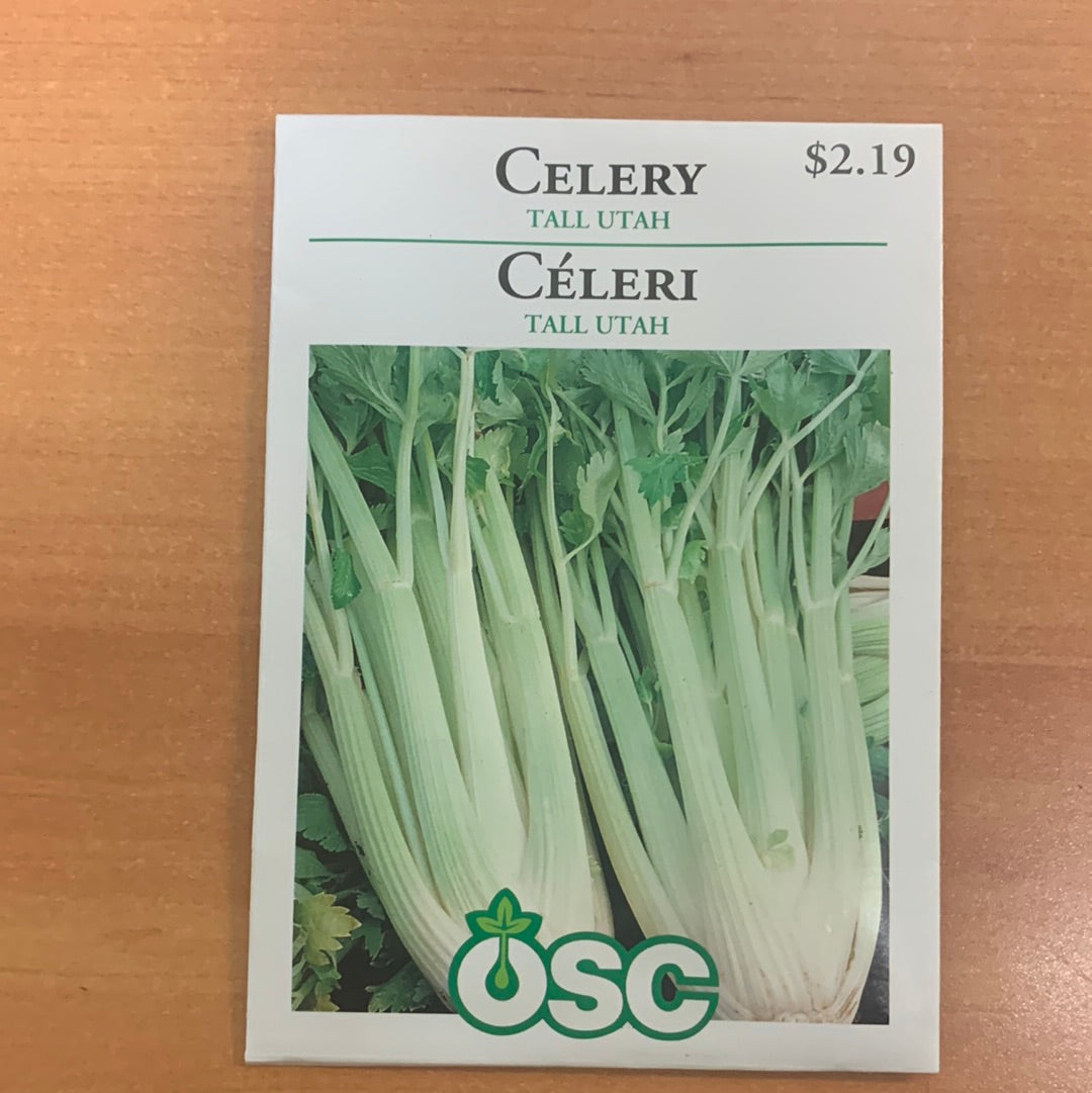 Celery Seed Packets - Tall Utah – Laporte's Nursery & Greenhouses Inc.