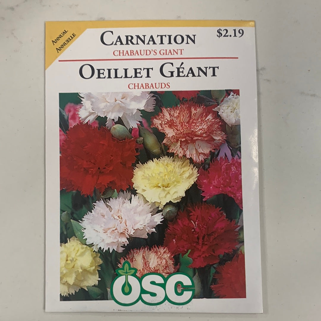 Carnation Seed Packets - Chabaud's Giant – Laporte's Nursery ...