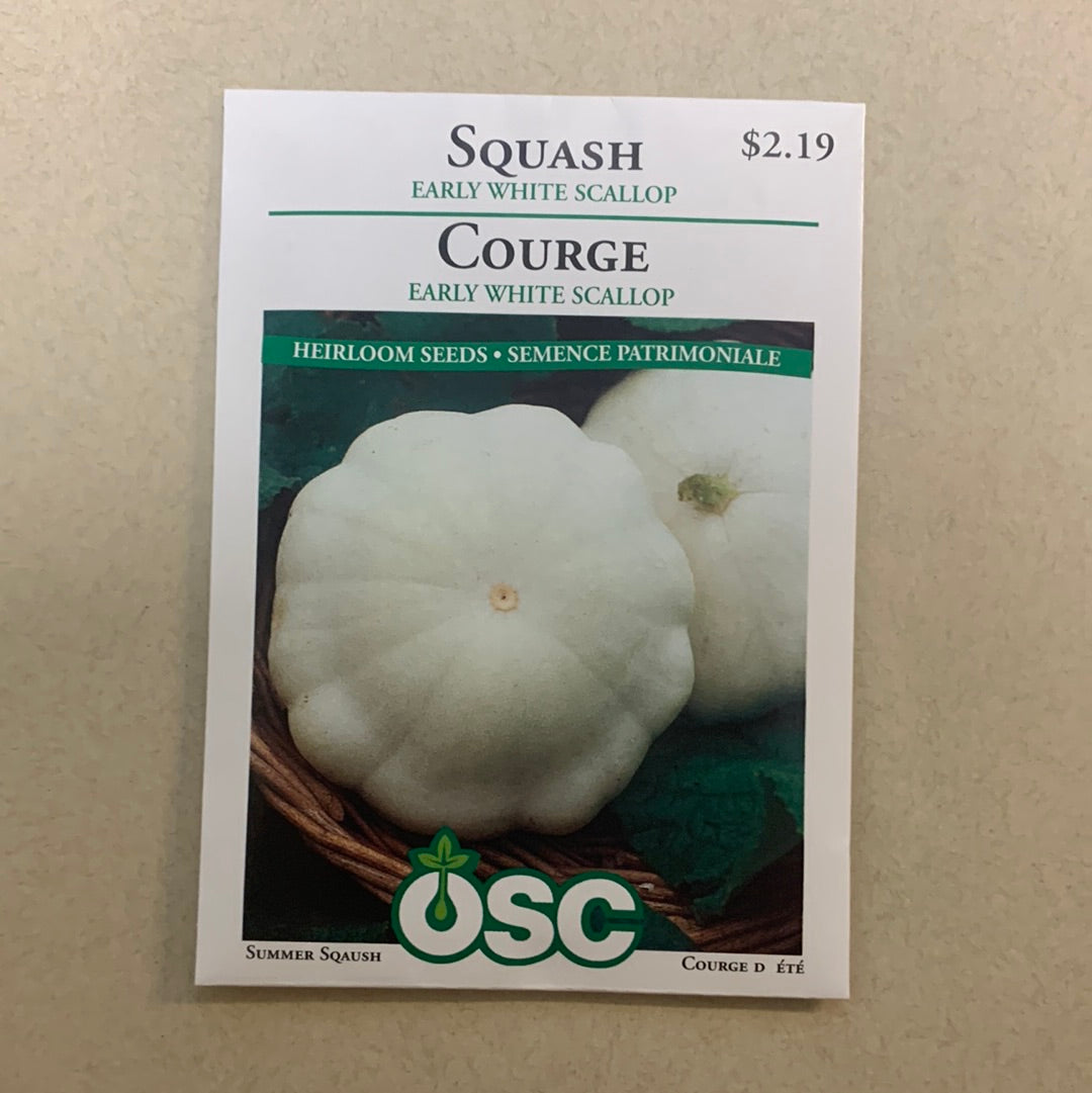 Squash Seed Packets - Early White Scallop – Laporte's Nursery ...