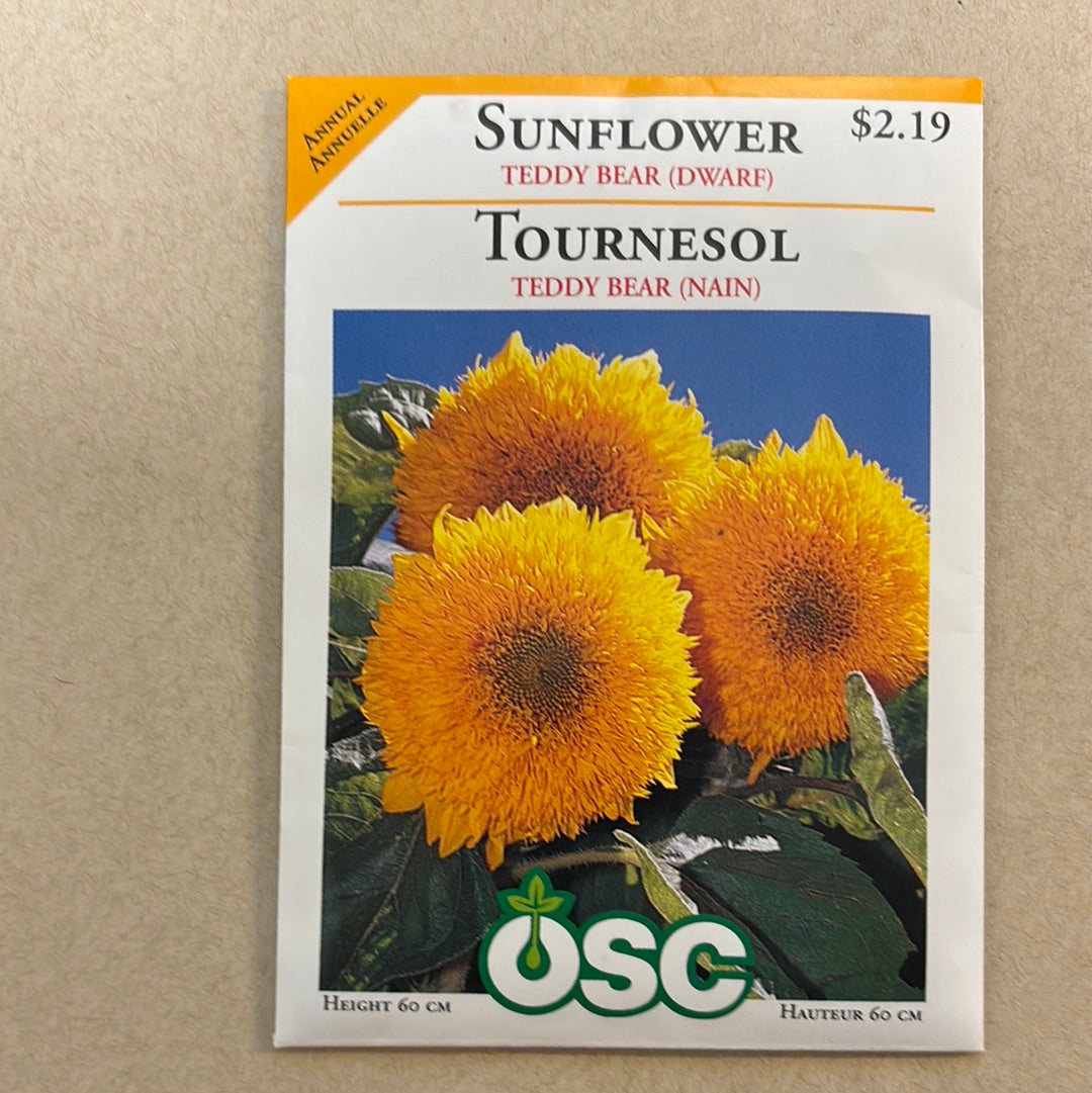 Sunflower Seed Packets - Teddy Bear (Dwarf) – Laporte's Nursery ...