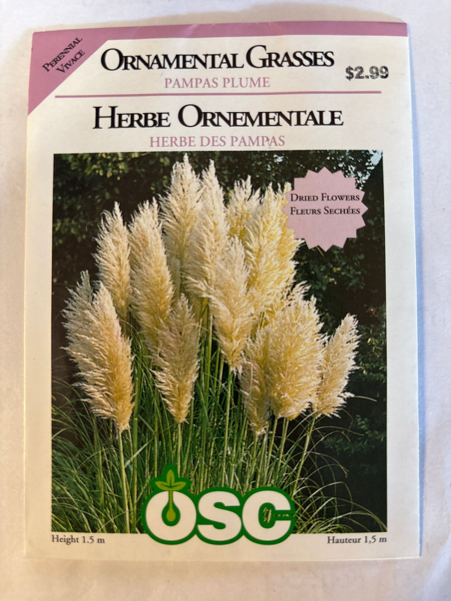 Ornamental Grasses Seed Packets - Pampas Plume – Laporte's Nursery ...