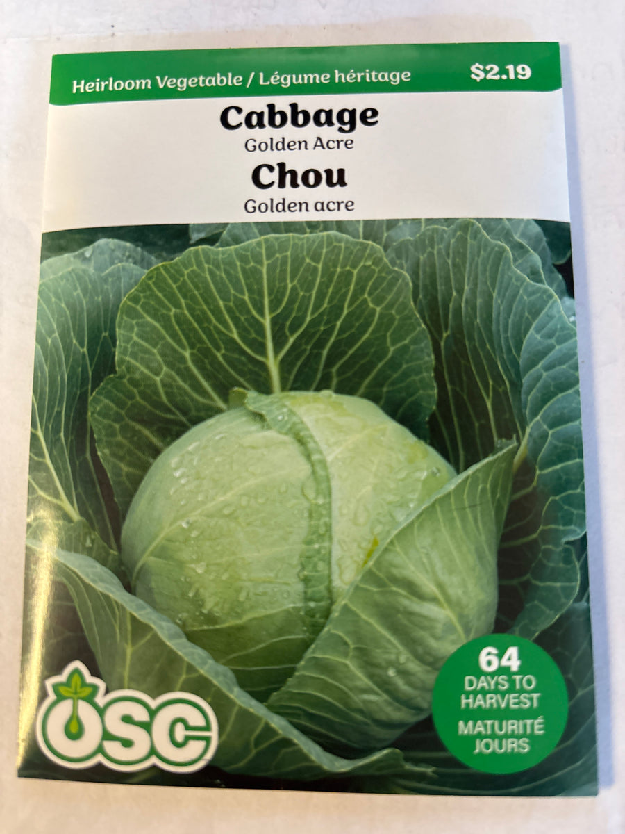 Cabbage Seed Packets - Golden Acre – Laporte's Nursery & Greenhouses Inc.
