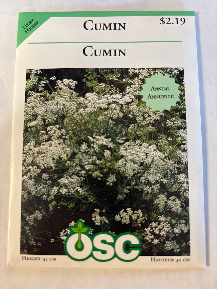 Cumin Seed Packets – Laporte's Nursery & Greenhouses Inc.