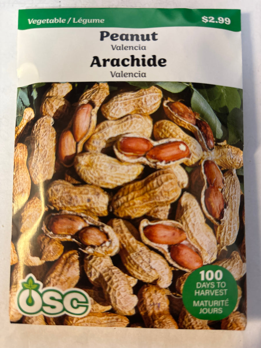 Peanut Seed Packets - Valencia – Laporte's Nursery & Greenhouses Inc.