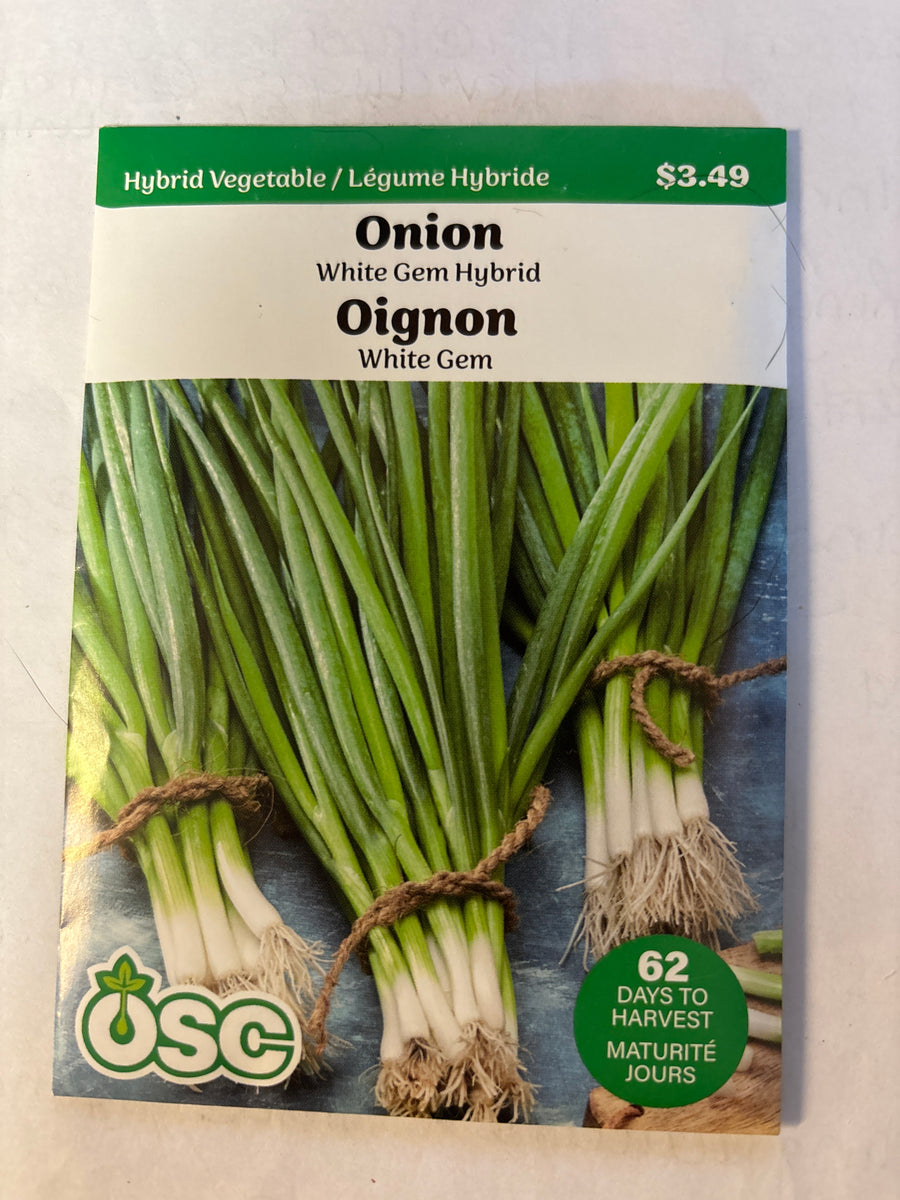 Onion Seed Packets - White Gem Hybrid – Laporte's Nursery & Greenhouses ...