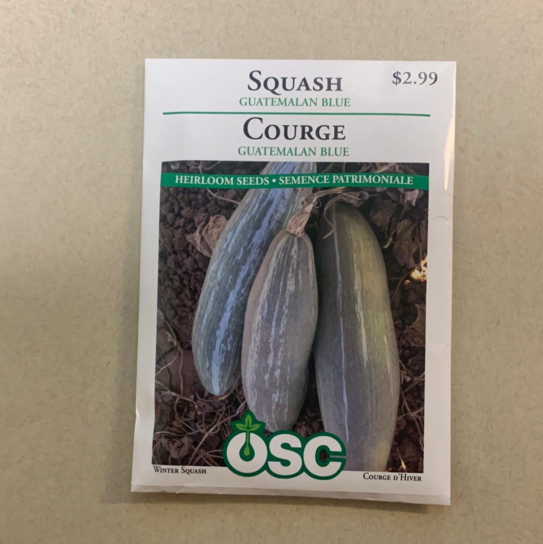 Squash Seed Packets - Guatemalan Blue – Laporte's Nursery & Greenhouses ...