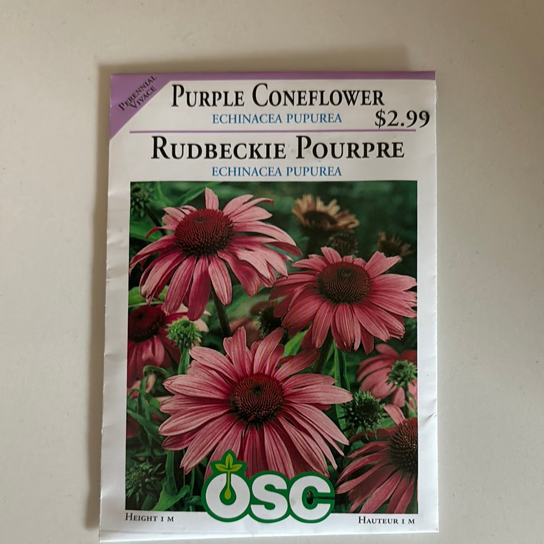 Purple Coneflower Seed Packets - Echinacea Pupurea – Laporte's Nursery ...