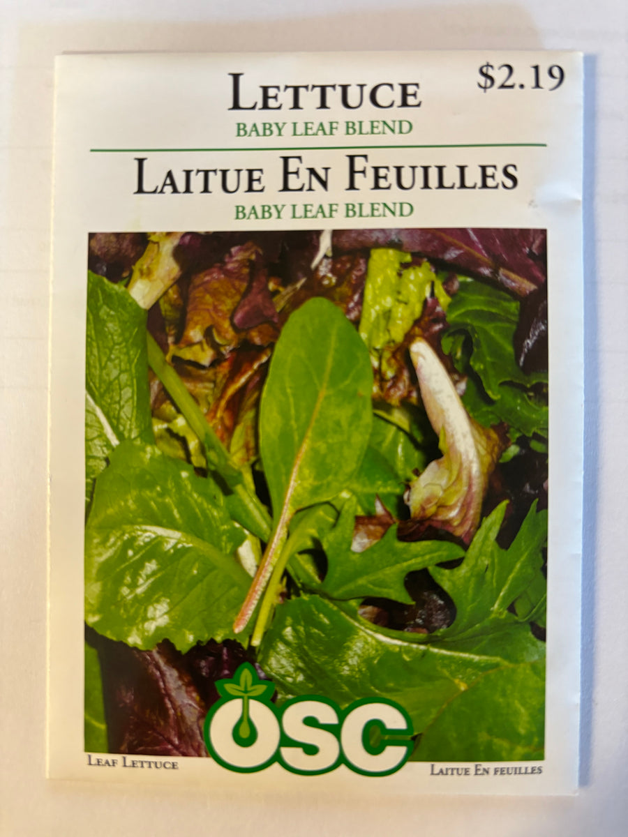 Lettuce Seed Packets - Baby Leaf Blend – Laporte's Nursery ...
