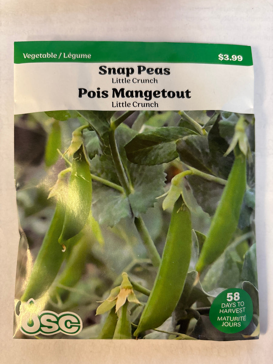 Snap Peas Seed Packets - Little Crunch – Laporte's Nursery ...