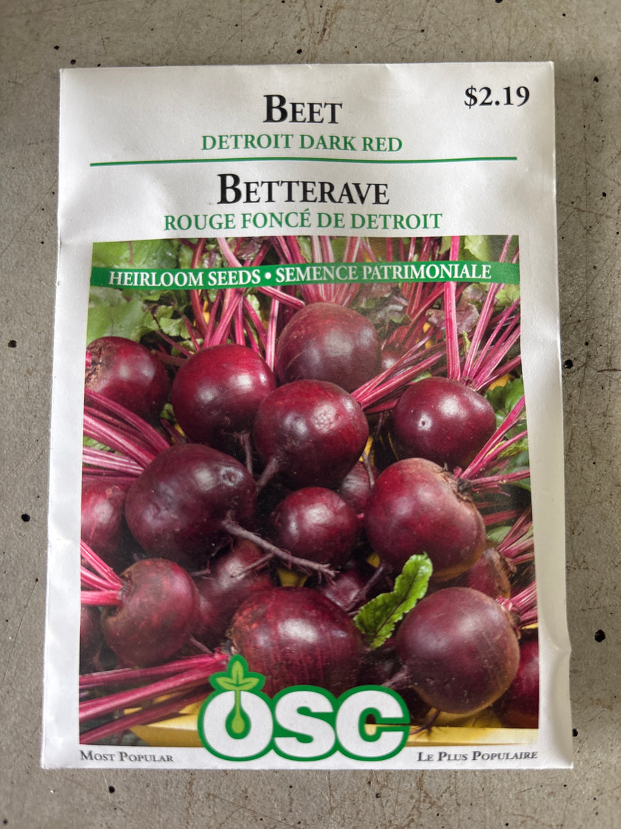 Beet Seed Packets - Detroit Dark Red – Laporte's Nursery & Greenhouses Inc.