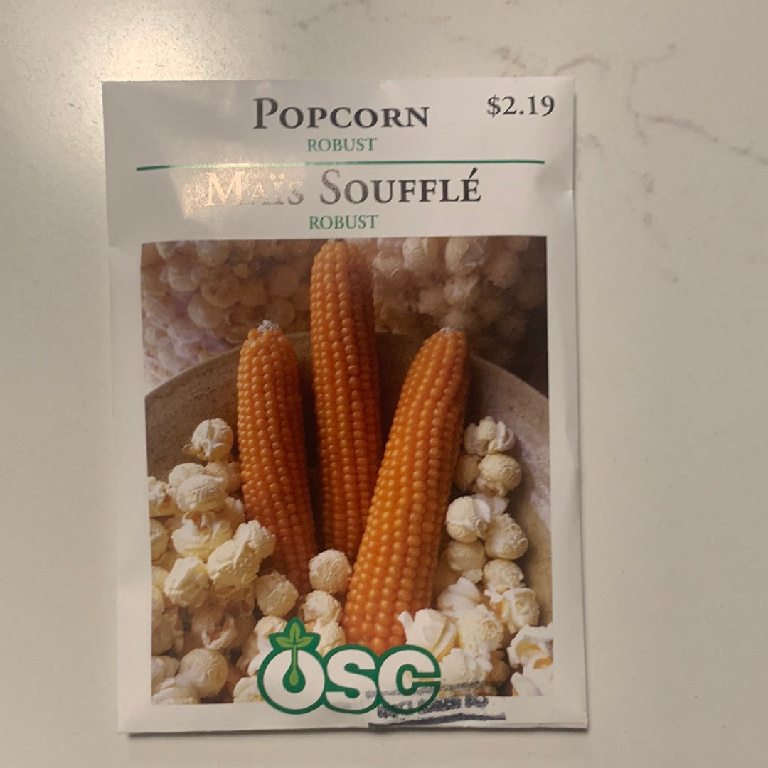 Popcorn Seed Packets - Robust – Laporte's Nursery & Greenhouses Inc.