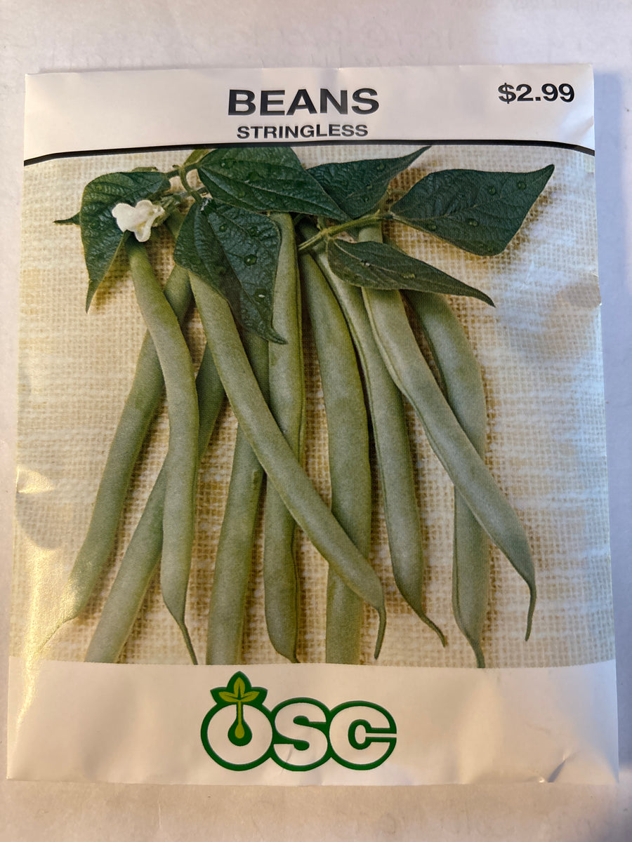 Beans Seed Packets - Stringless – Laporte's Nursery & Greenhouses Inc.