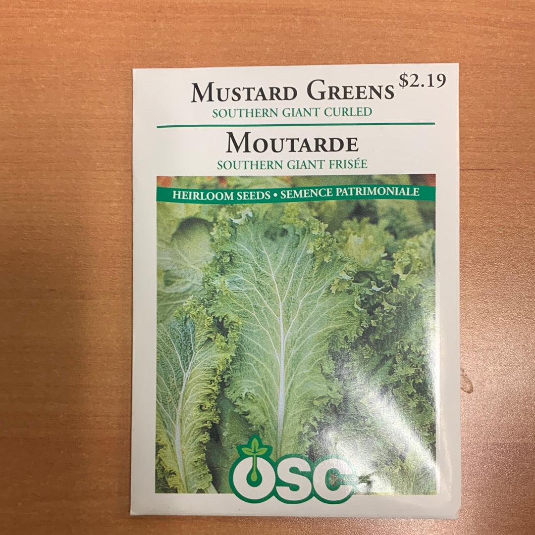 Mustard Greens Seed Packets - Southern Giant Curled – Laporte's Nursery ...