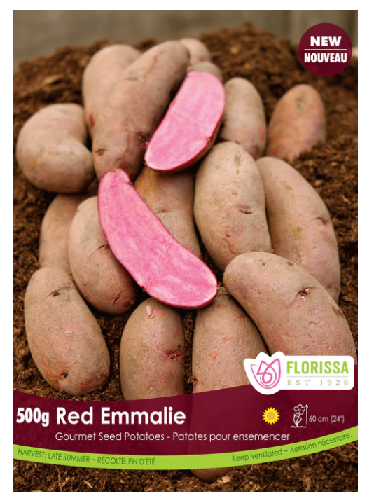 Potatoes - Gourmet Red Emmalie (500g) – Laporte's Nursery & Greenhouses ...