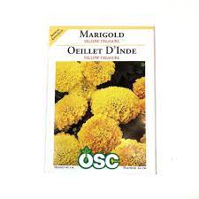 Marigold Seed Packets - Yellow Treasure – Laporte's Nursery ...