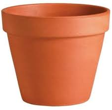 Clay Standard Pot 9cm/3.5" TC w/Hole – Laporte's Nursery & Greenhouses Inc.