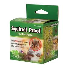 Squirrel Proof 'Spring 1' – Laporte's Nursery & Greenhouses Inc.