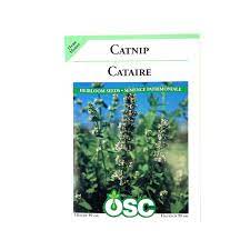 Catnip Seed Packets – Laporte's Nursery & Greenhouses Inc.