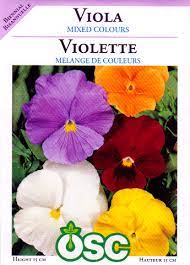 Viola Seed Packets - Mixed Colours – Laporte's Nursery & Greenhouses Inc.