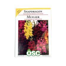 Snapdragons Seed Packets - Panorama Mixed Colours – Laporte's Nursery ...