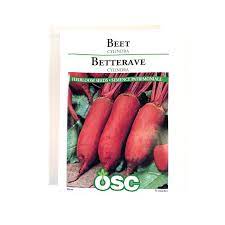 Beet Seed Packets - Cylindra – Laporte's Nursery & Greenhouses Inc.