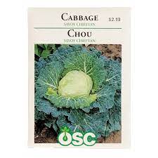 Cabbage Seed Packets - Savoy Chieftan – Laporte's Nursery & Greenhouses ...