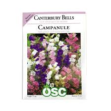 Canterbury Bells Seed Packets - Cup and Saucer Mixed – Laporte's ...