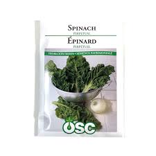 Spinach Seed Packets - Perpetual – Laporte's Nursery & Greenhouses Inc.
