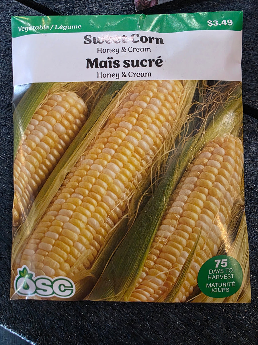 Sweet Corn Seed Packets - Honey & Cream – Laporte's Nursery ...