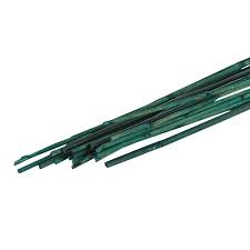 Green Bamboo Pole Package - 2' – Laporte's Nursery & Greenhouses Inc.