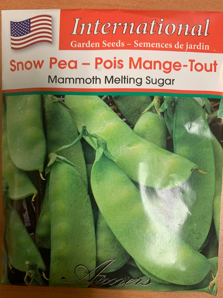 Aimers International Snow Pea Mammoth Melting Sugar Seed Packet ...